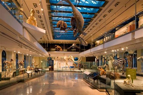 Natural History Museum Of Los Angeles County Admission In Los Angeles