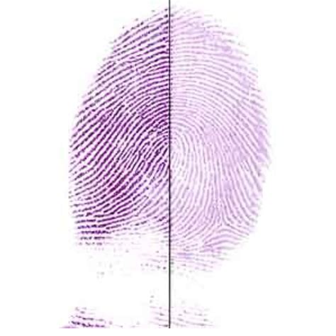 Ninhydrin Forensic Solution