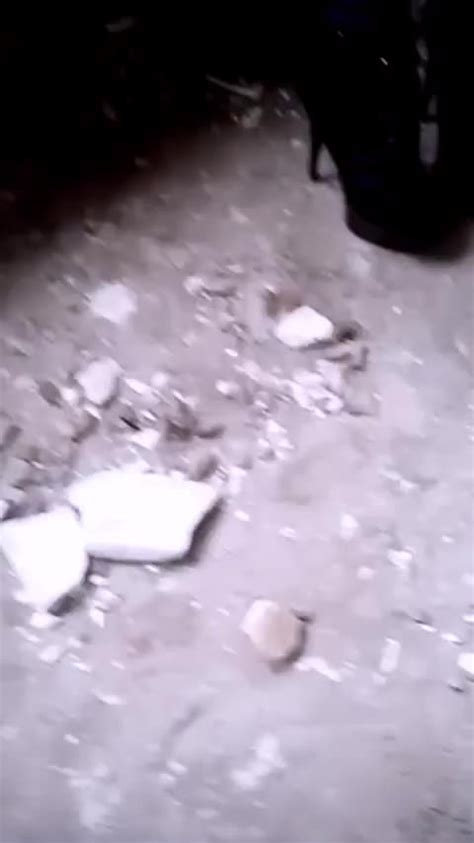 Something Shiny For Ff Album On Imgur