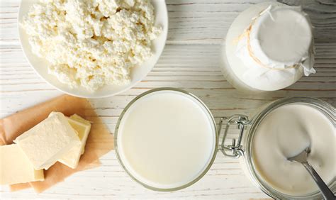 Bifidobacterium Lactis Eigenschaften Und Anwendungen