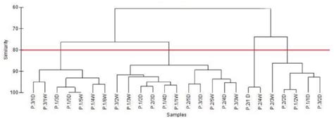 Dendrogram Showing Cluster Analysis Of Polychaetes At Different