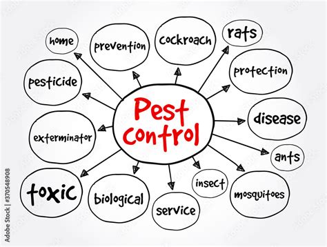 Pest Control Mind Map Concept For Presentations And Reports Stock