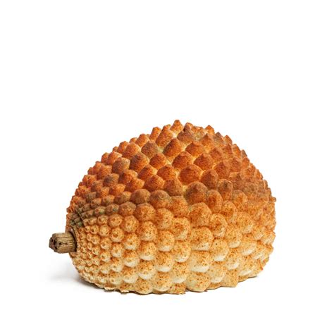 Daan Go Cake Lab Vancouver