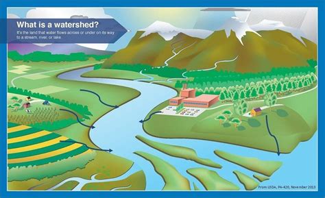 Watershed Diagram Diagram Quizlet