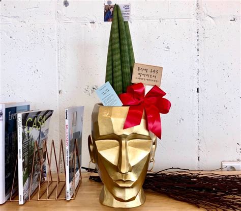 울산꽃집추천 울산에도 화분 꽃다발 개업 예쁜화분들이 많은 울산 꽃집 추천은 여기 “그래도 이뻐” 네이버 블로그