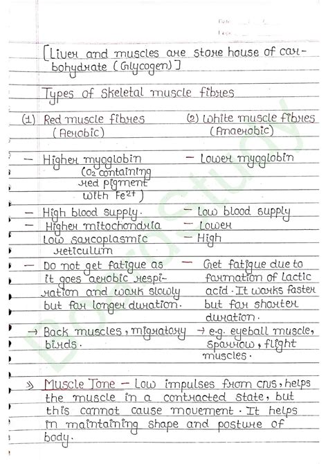 Ncert Class 11 Biology Locomotion And Movement Notes Pdf Handwritten