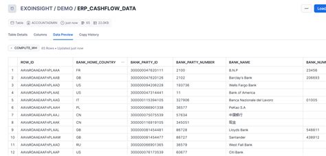 Use Custom Sql With Oracle Fusion Cloud Erp Casabase Software