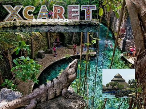 Descubre La Magia Natural De México En Xcaret Parques Guíate Turista