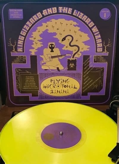 King Gizzard And The Lizard Wizard “flying Microtona Tumbex