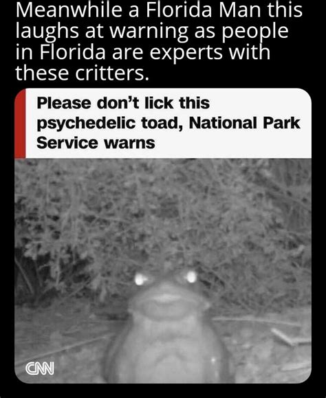 Bufo Canine Toads Meme By Ronthegreat Memedroid