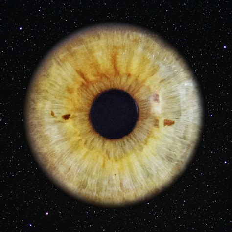 Welkom Bij Astroflex Astroflex