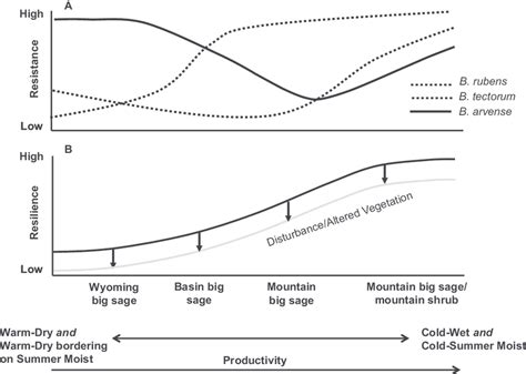 Resistance To Invasive Annual Brome Grasses A And Resilience To