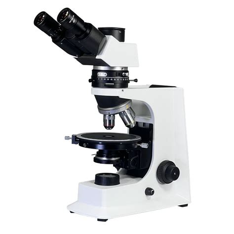 Overview The Polarizing Microscope Principles Types And Applications