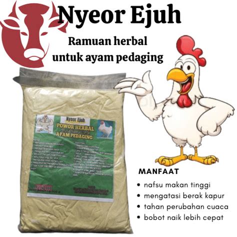 Detail Gambar Kartun Ayam Pedaging Koleksi Nomer 55