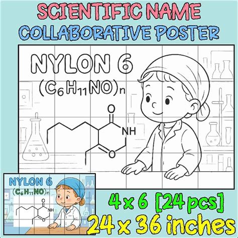 Nylon 6 Chemical Structure Collaborative Poster For Science Learning