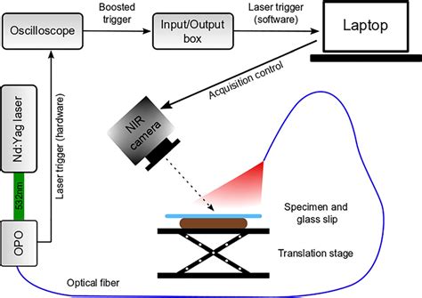 Schematic Of The Mtm Setup Download Scientific Diagram
