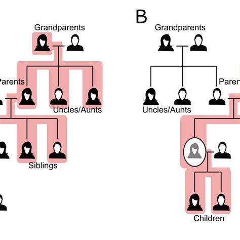 Example Electropherogram Of An Experiment To Generate A Dna Profile