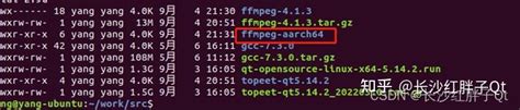 Rk Buildroot Ffmpeg Rtsp Demo