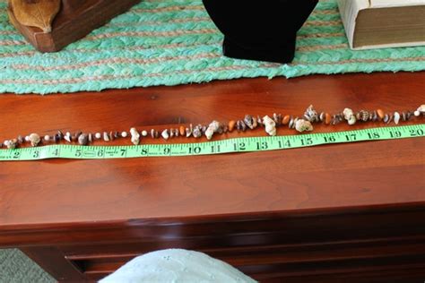 Sea Shells Hawaiian Style Lei Homes Of Tiny Sea Li Gem