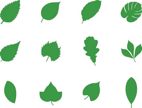 A Collection Of Leaf Shapes For Artwork Compositions 27197021 Vector