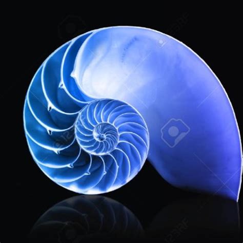 Recursion Loop Songs Events And Music Stats