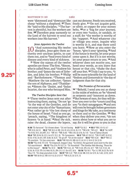 A New Year A New Lsb Project Update January 2023 — 316 Publishing