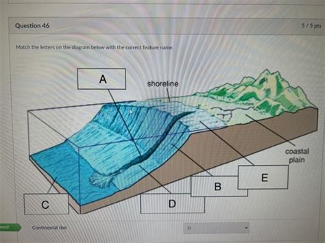 Oceanography Final Flashcards Quizlet