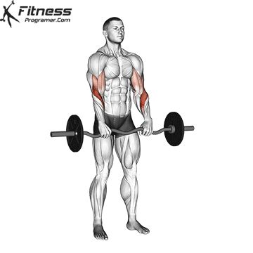 Reverse Grip Dumbbell Wrist Curl