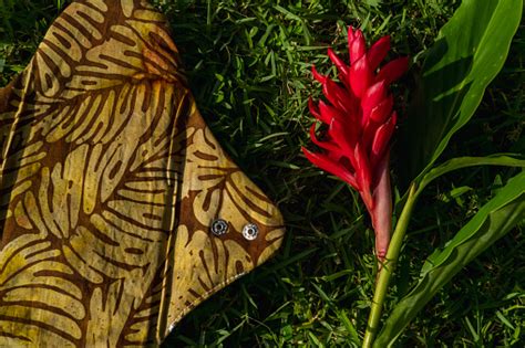 잔디에 여자의 기간을 상징 하는 꽃잎과 씻을 수 생리 천 패드 재사용 가능한 친환경 여성 위생 제품 제로 폐기물 지속 가능한