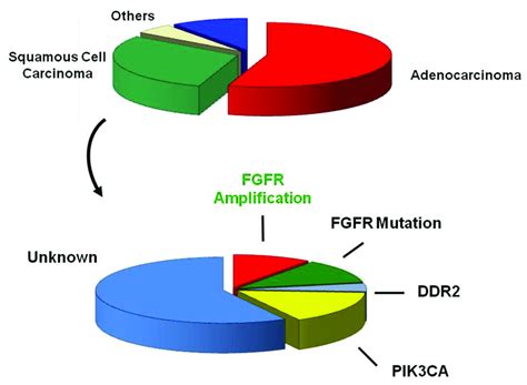 Incidence And Nature Of Driver Mutations In Squamous Cell Nsclc