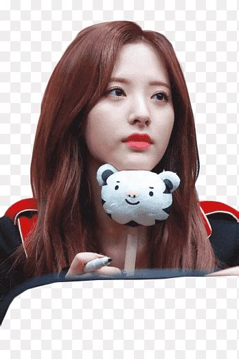 Bona Png Images Pngegg