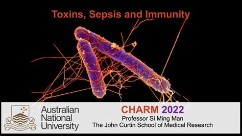 Si Ming Man On Linkedin Medicalresearch Microbiology Innateimmunity