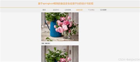 基于django vue框架的食品安全监督平台的设计与实现【开题报告 程序 论文】 计算机毕设 基于django vue3的监控平台报告 csdn博客