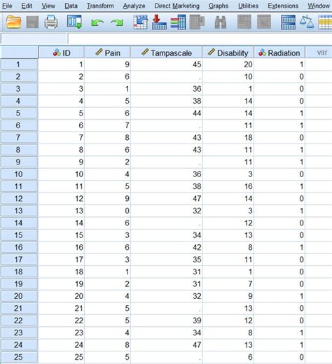 Chapter1 Working With Spss And R Bookmiknit