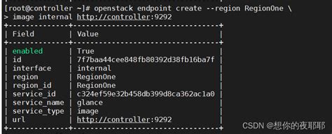 云计算基础架构平台搭建，云计算平台开发与运维，搭建openstack平台openstack云平台搭建 Csdn博客