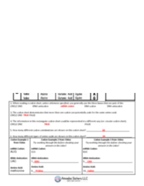 Solution Codons Studypool Worksheets Library