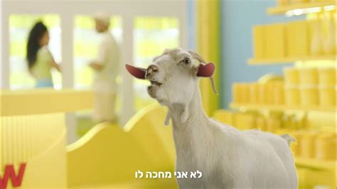 מזמינים קפה לוואצה באפליקציית Yellow ואוספים בלי תור Youtube