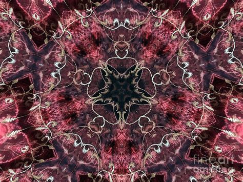 Black Red Ruby Kaleidoscope Digital Art Digital Art By Sofia Goldberg