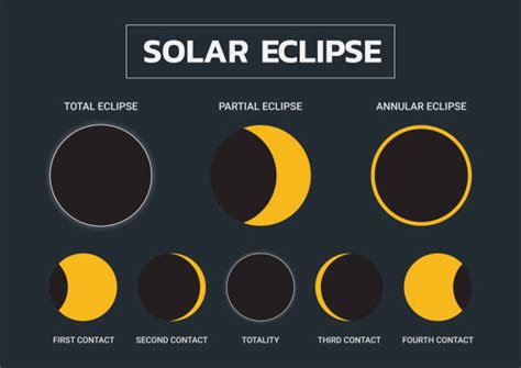 1 600 Eclipse Solar Ilustraciones De Stock Gráficos Vectoriales