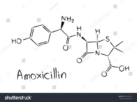 Amoxicillin Chemical Structure Stock Vector Royalty Free 218283751