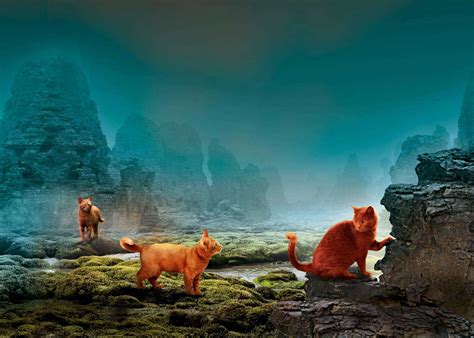 Warrior Cats Animationsverfilmung In Planung Warrior Cats