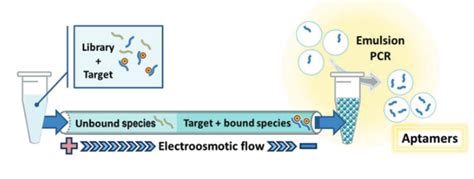 Journal Papers Microfluidics And Soft Matter Group