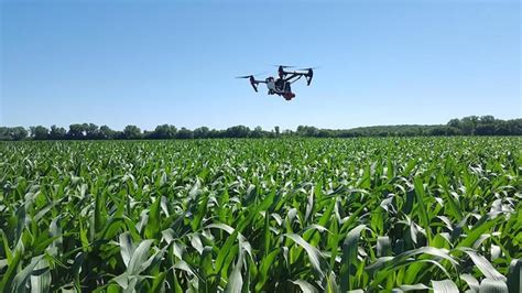 Github Bhyeh Corn Yield Prediction Overview Of Ml Research Project Nmsp Cornell