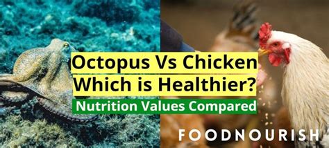 Octopus Vs Chicken A Healthy Food Comparison