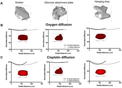 Diffusion Profiles Of Oxygen And Diffusion In 500 Cells Drop Breast Download Scientific Diagram