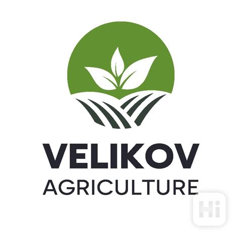 Valerij Pavlov Bazar Hyperinzercecz