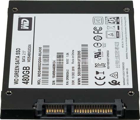 SSD накопитель WD Green WDS480G2G0A 480ГБ - купить в Ситилинк | 1105702