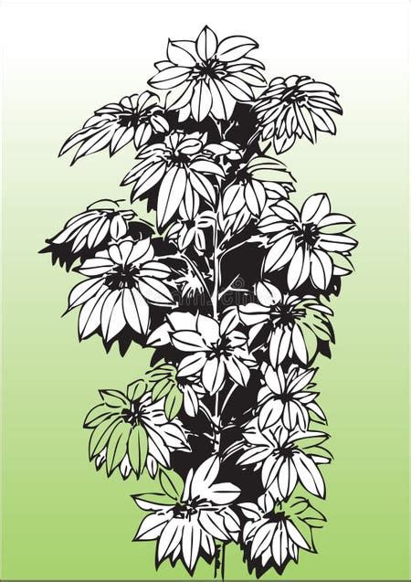 Handritade Tropiska Blommor Vektor Illustrationer Illustration Av Konst Artistically 8645275