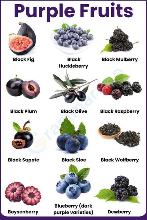 42 Purple Fruits List And Names With Pictures You Should Know