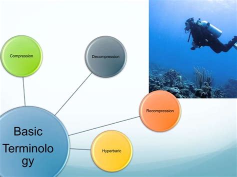 Elective Presentation Final 2 Ppt